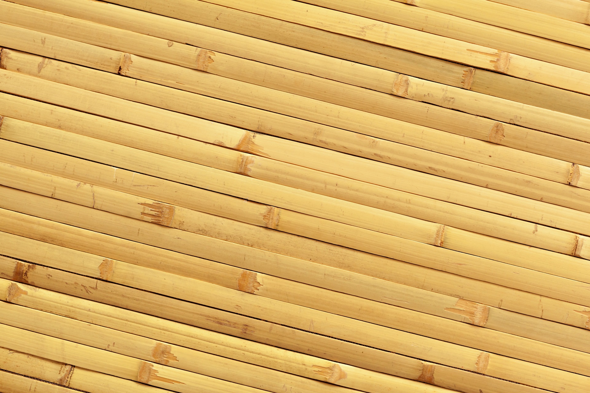 Expert Eco-Friendly Renovation Tips for Expats in France